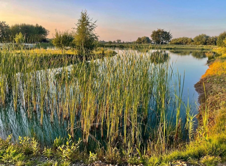 Derwent Oaks, High Lane, Sutton On Derwent, York | Hunters Estate ...